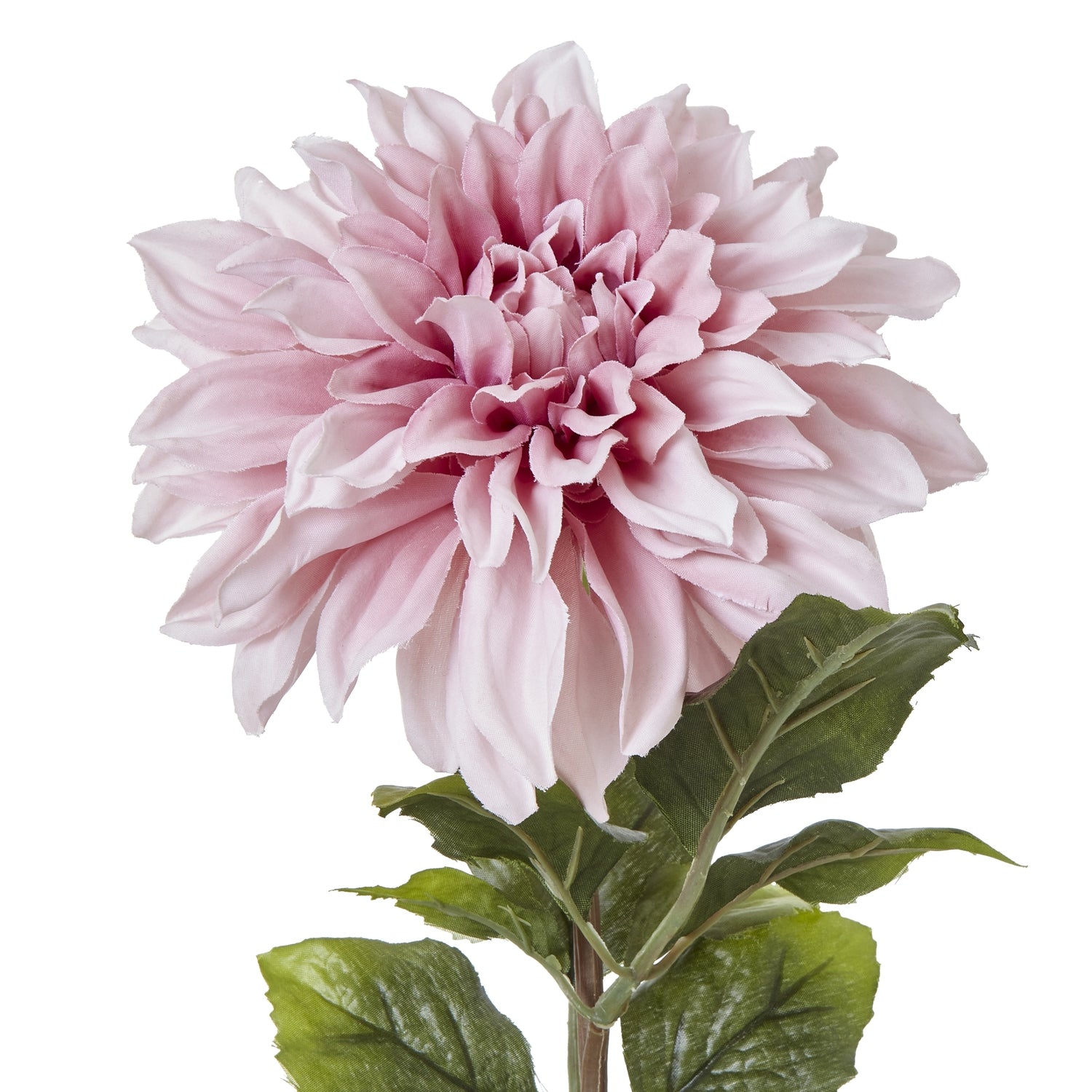 The Natural Collection Collection Pink Dahlia – Home Pieces